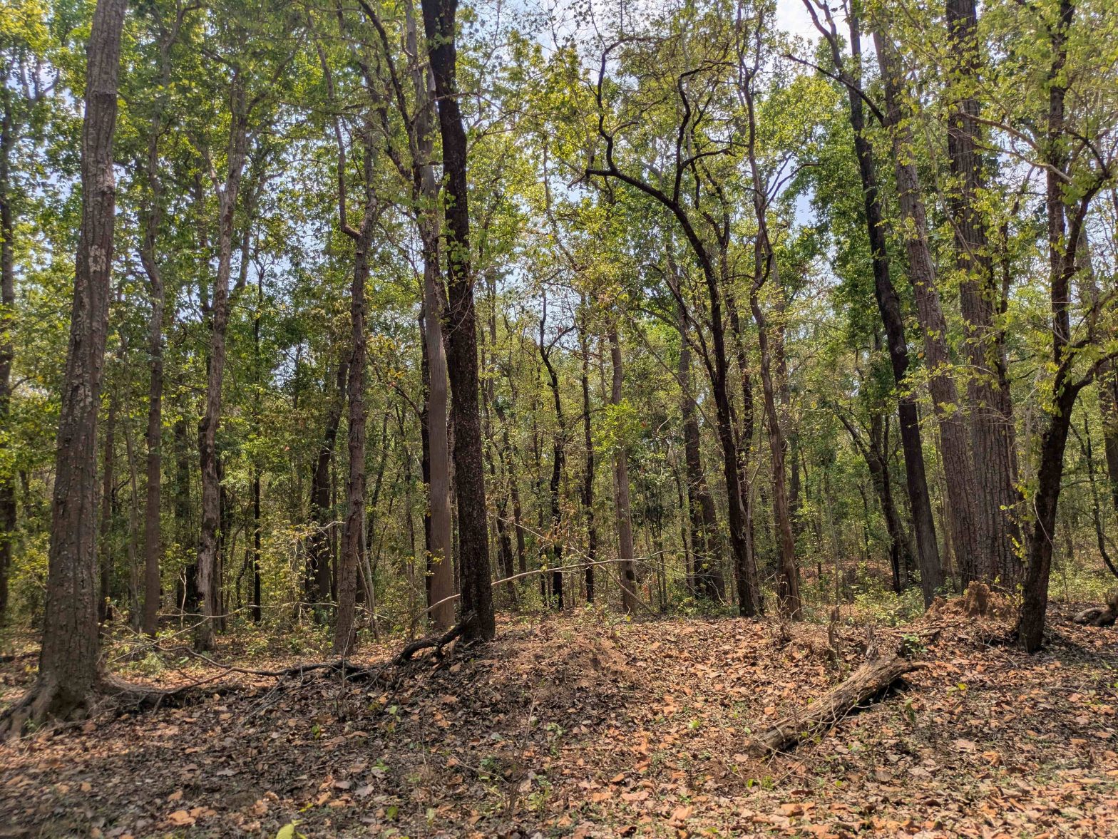 Our Mission – CFR ATREE